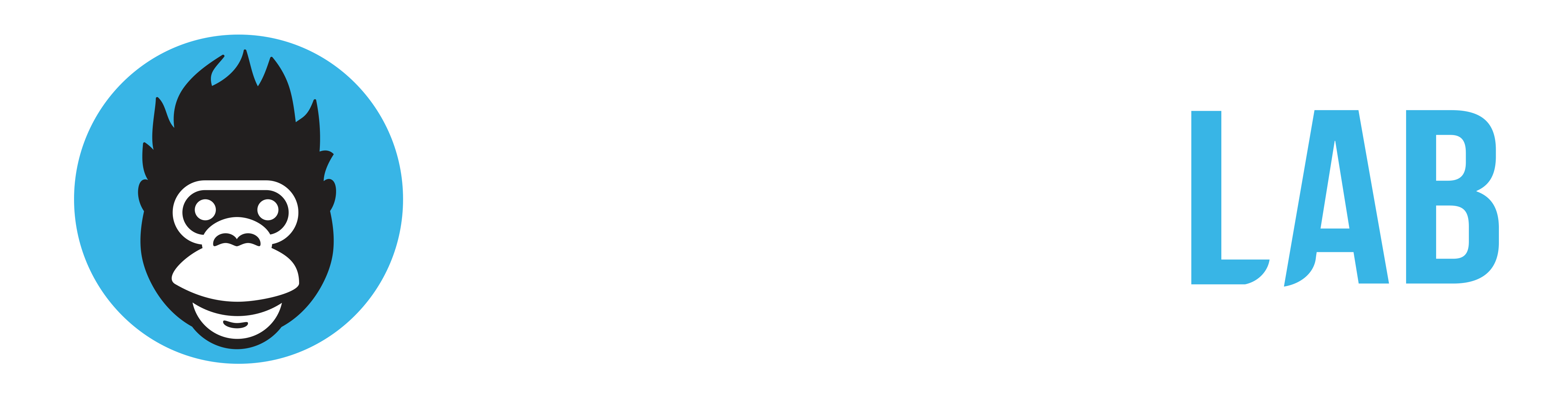 TOUR DATES - Gorilla Lab | Shopify Experts